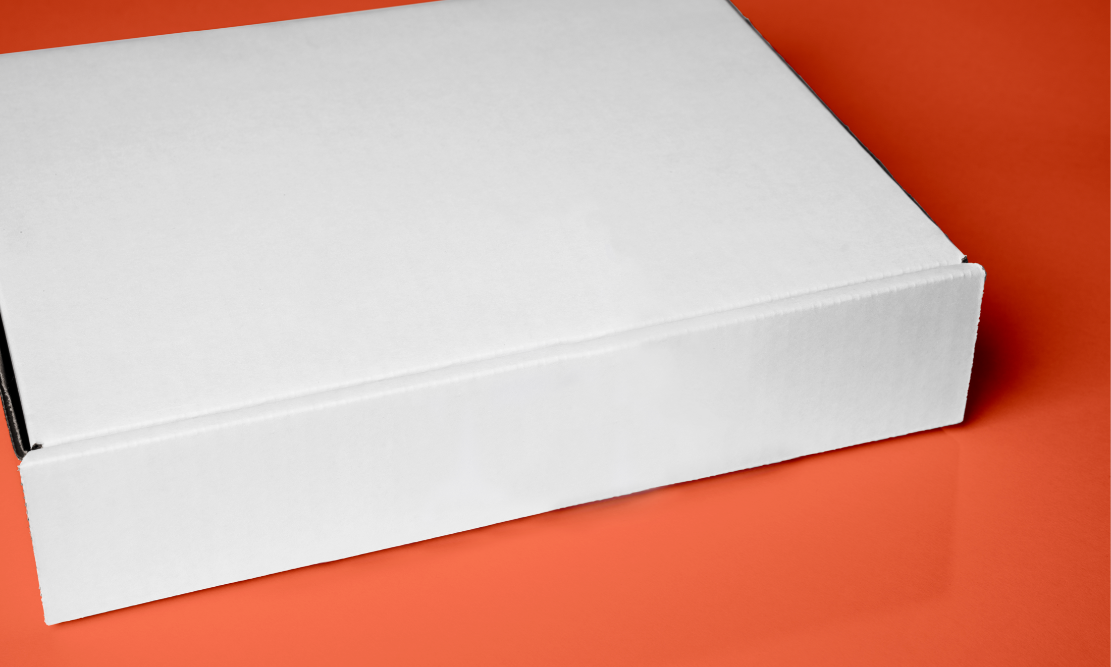 Premium Blank Literature Mailer Box | Arka