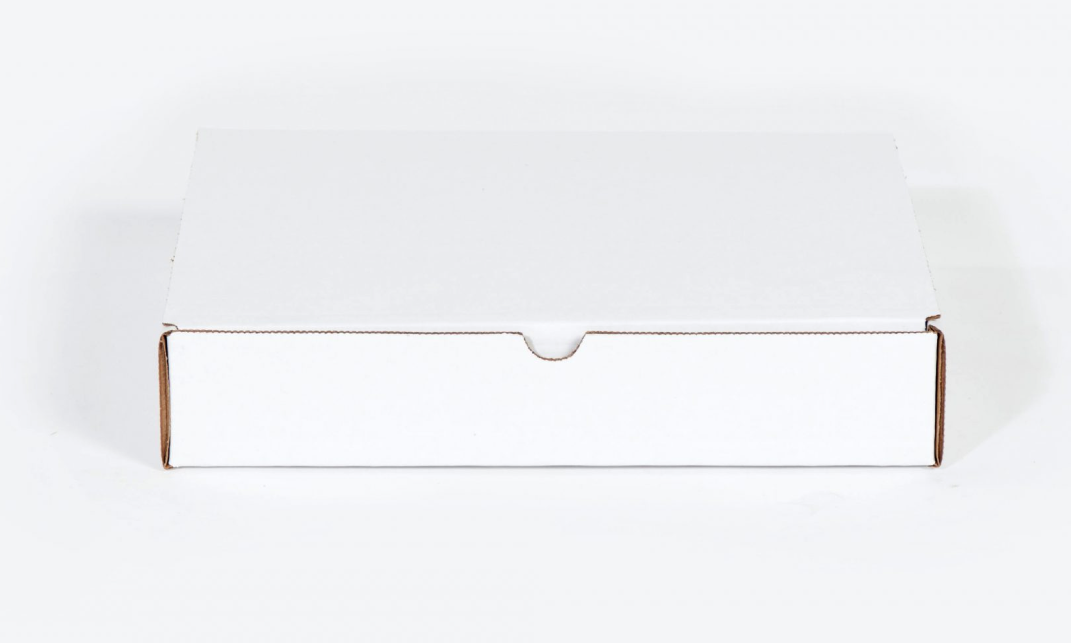 Premium Blank Literature Mailer Box | Arka