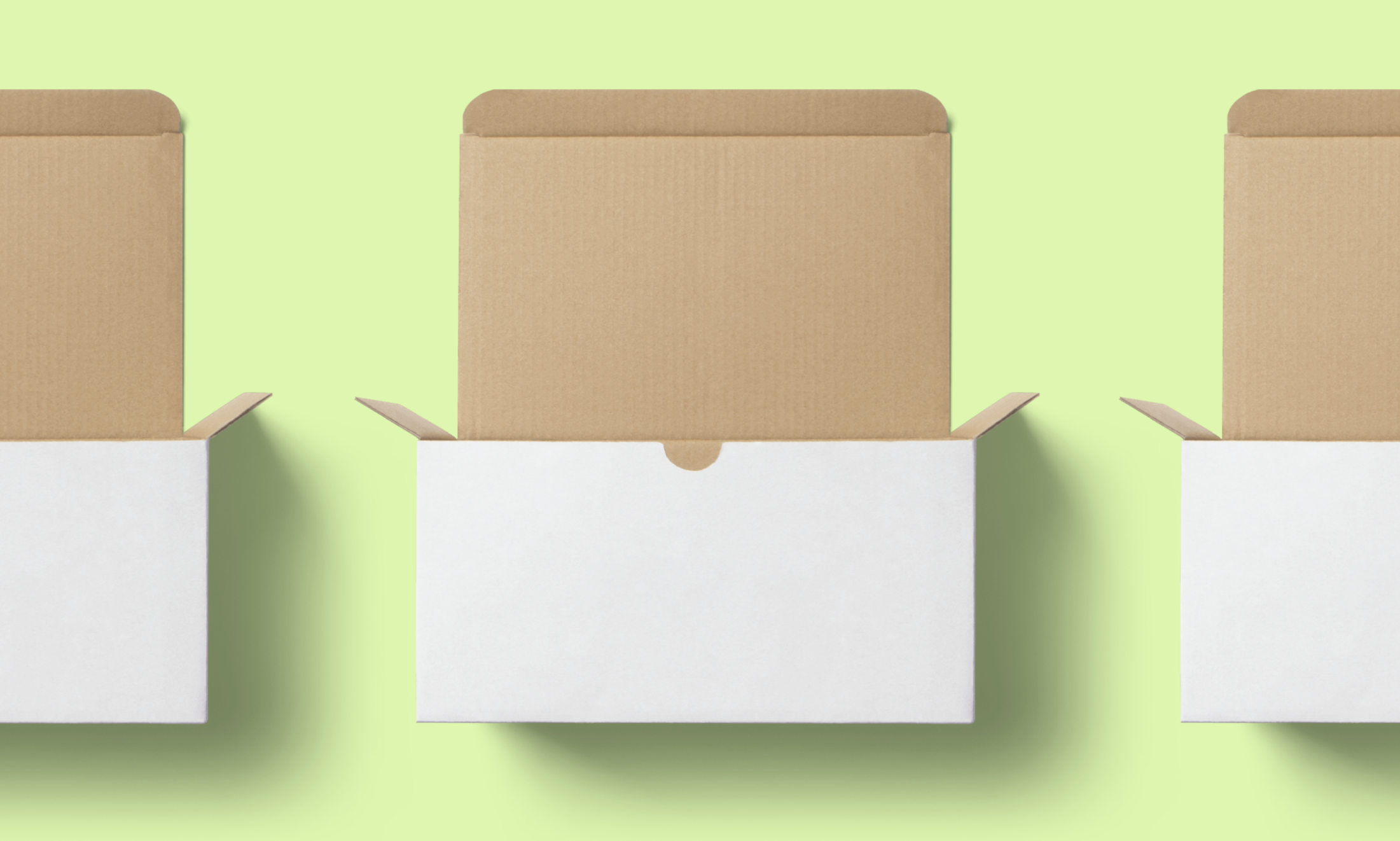 Premium Blank Literature Mailer Box | Arka